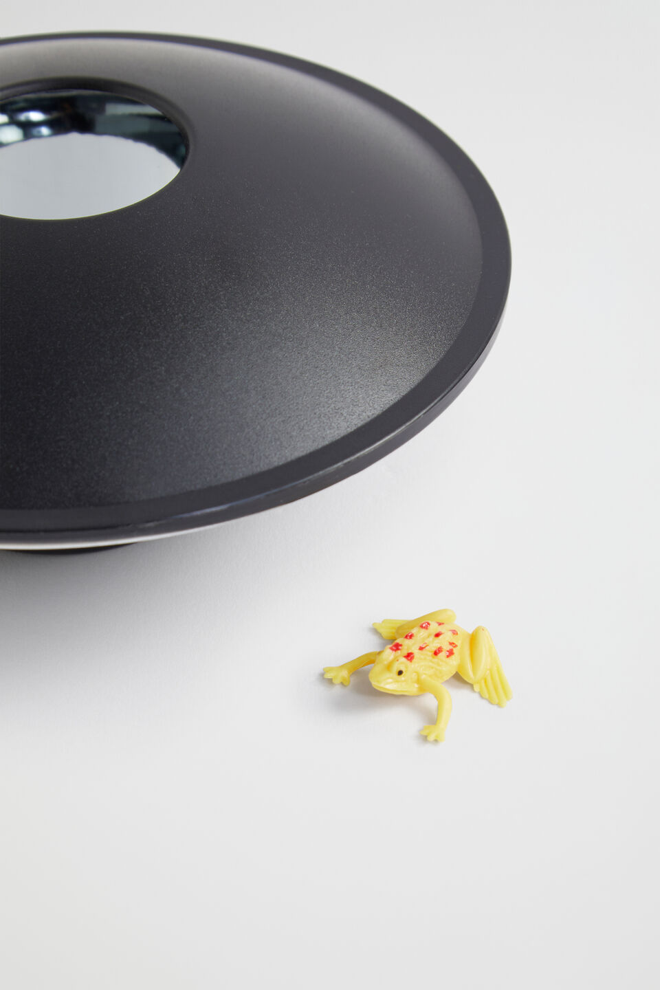 3D Mirascope | Seed Heritage